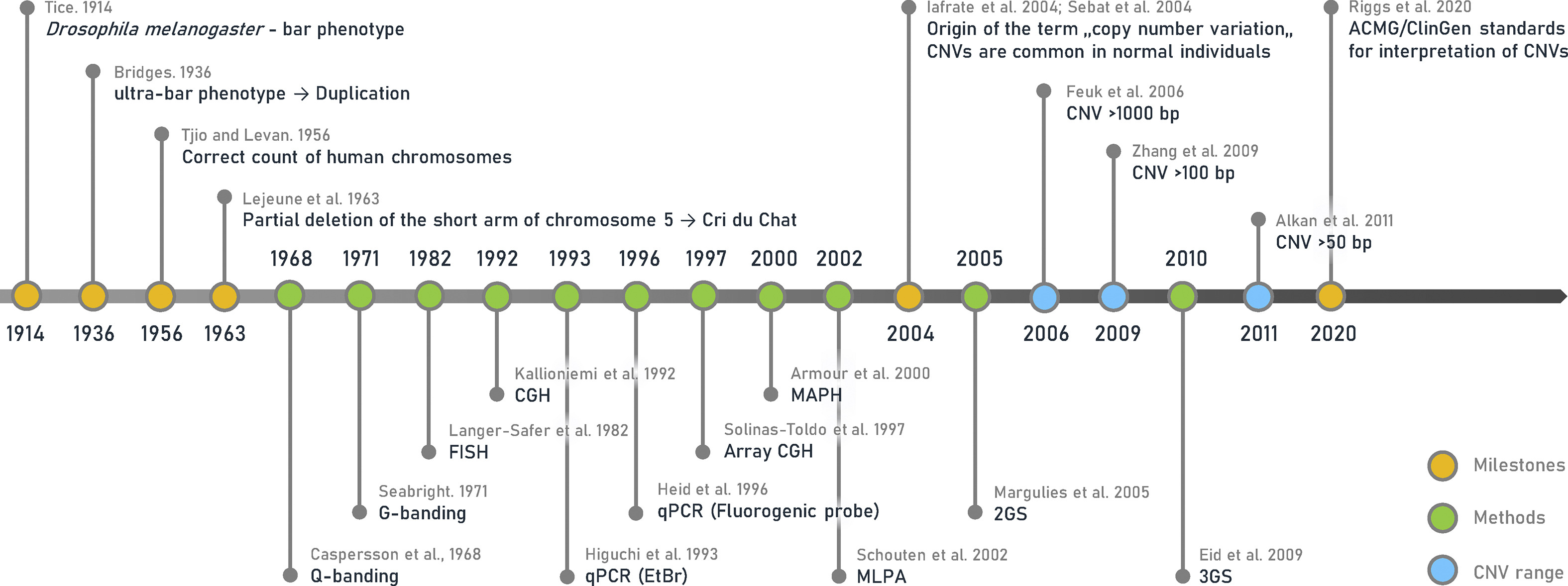 Cancer Copy Number Variants (CNVs): A Guide for Clinical Researchers