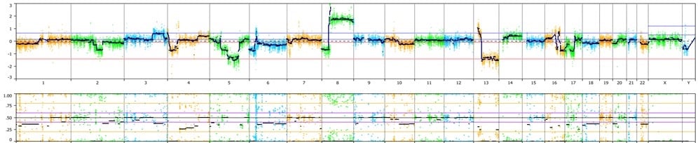 Copy Number Variation (CNV) Analysis: A Guide for Clinical Researchers